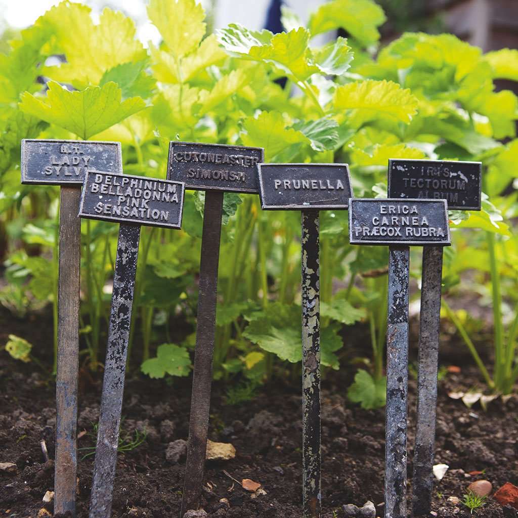 intage Plant Labels Collection | Garden and Wood – Garden & Wood