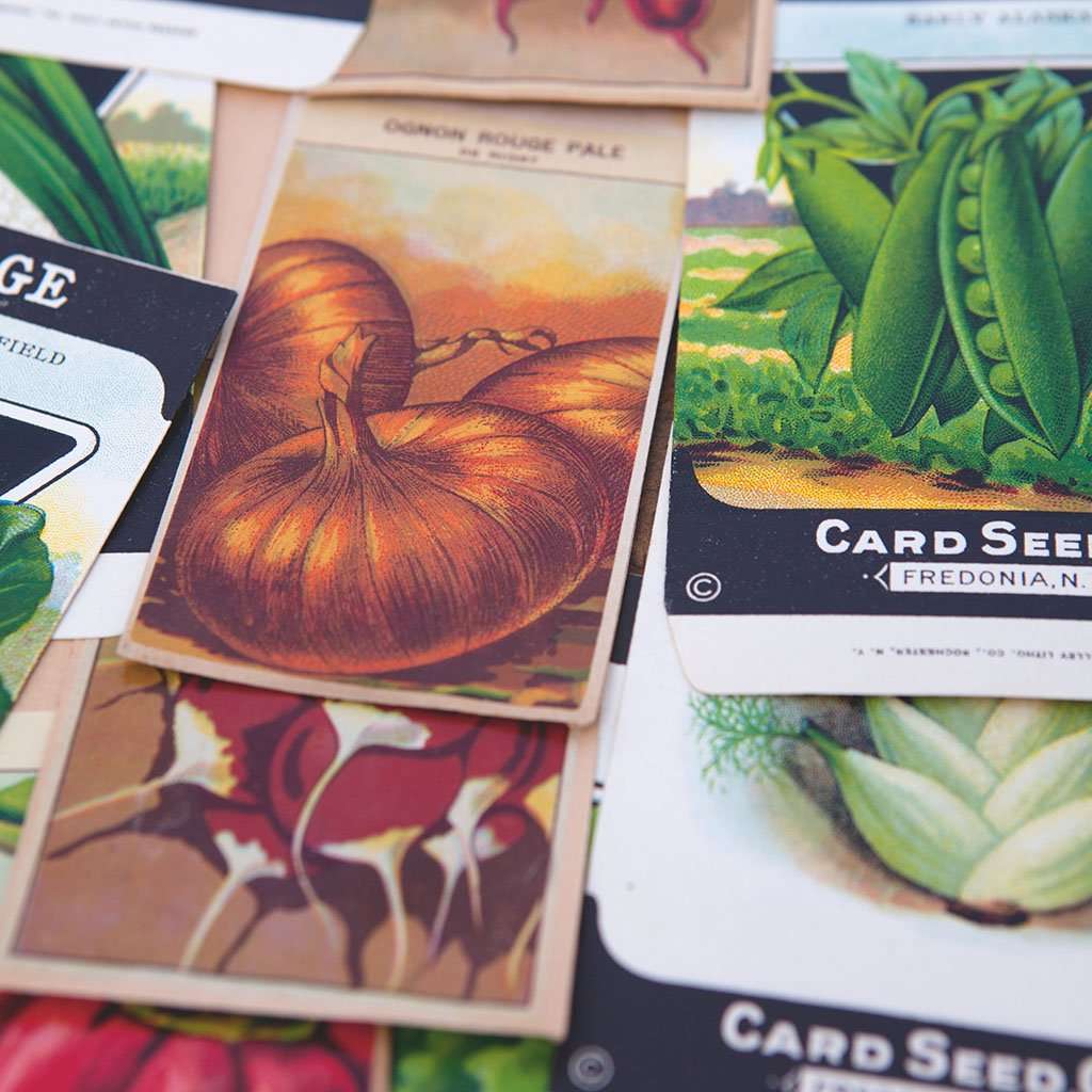 Unique Garden Ephemera Collection | Garden and Wood – Garden & Wood