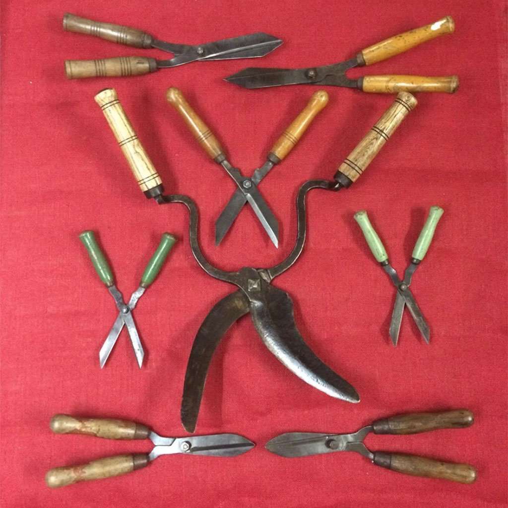 Precision Pruning Tools for Gardeners | Garden and Wood – Garden & Wood