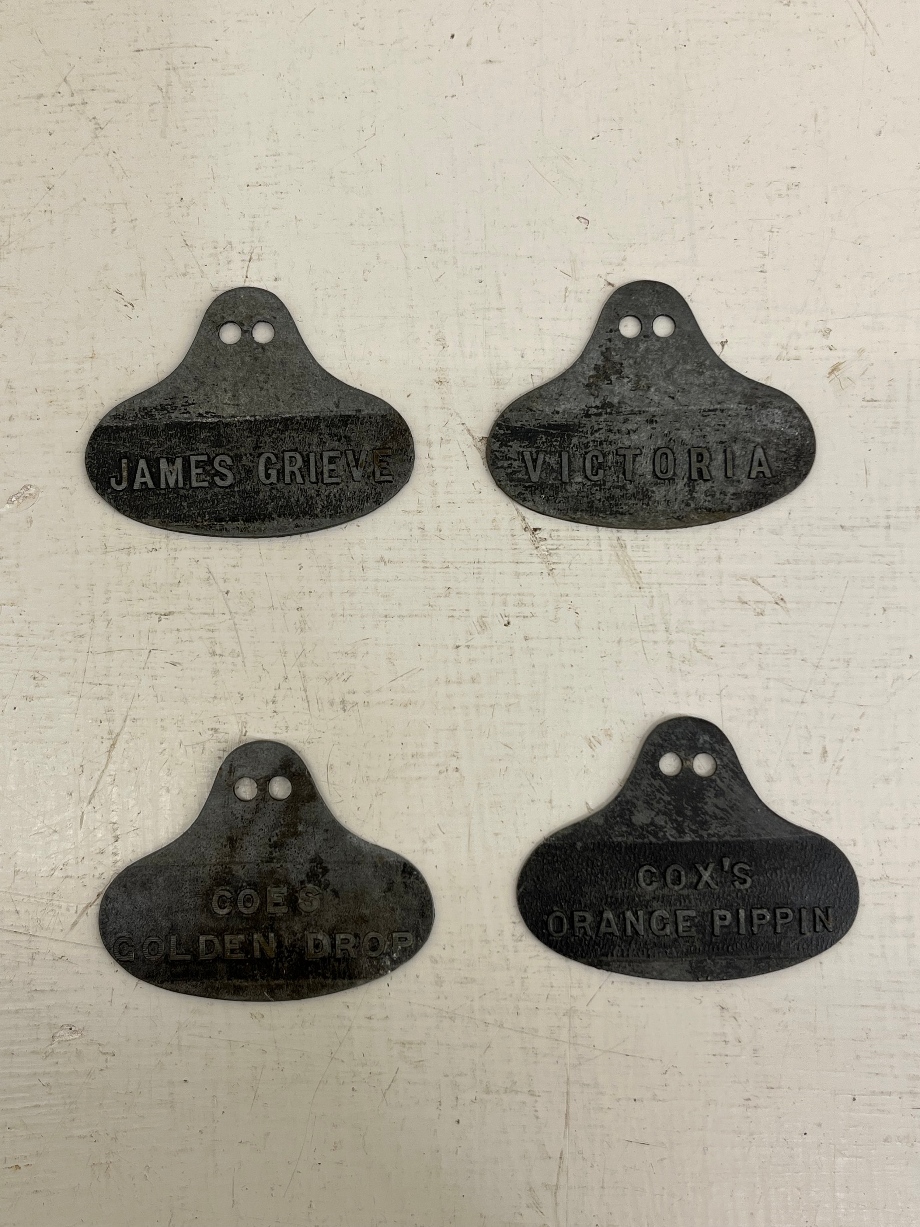 Fruit Labels – Garden & Wood