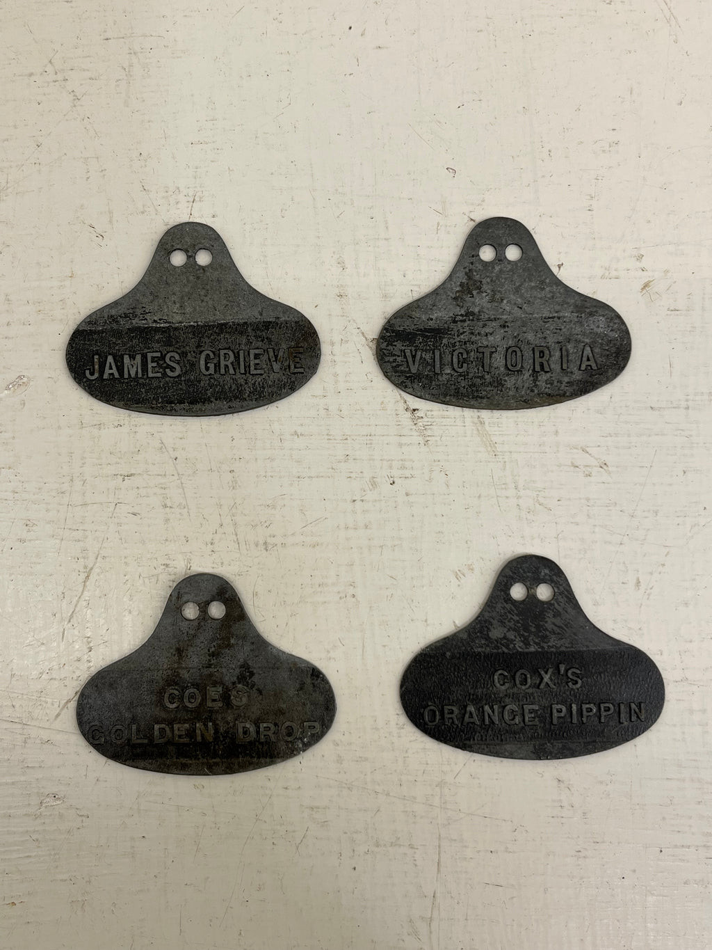 Fruit Labels – Garden & Wood